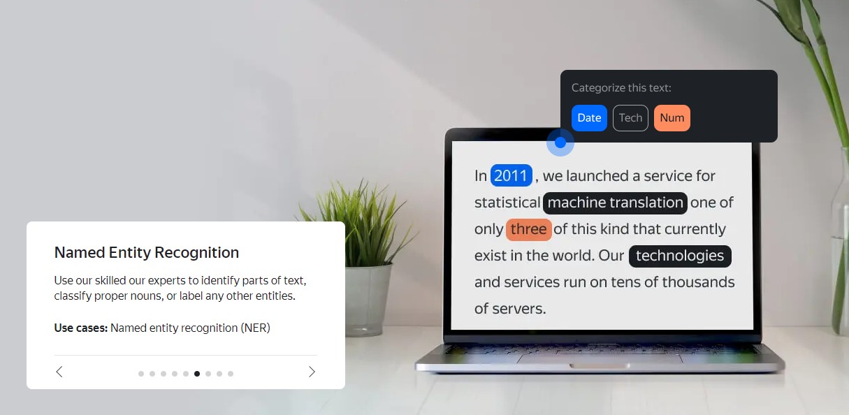 Data Tagging - Text Annotation as Service - aiixa