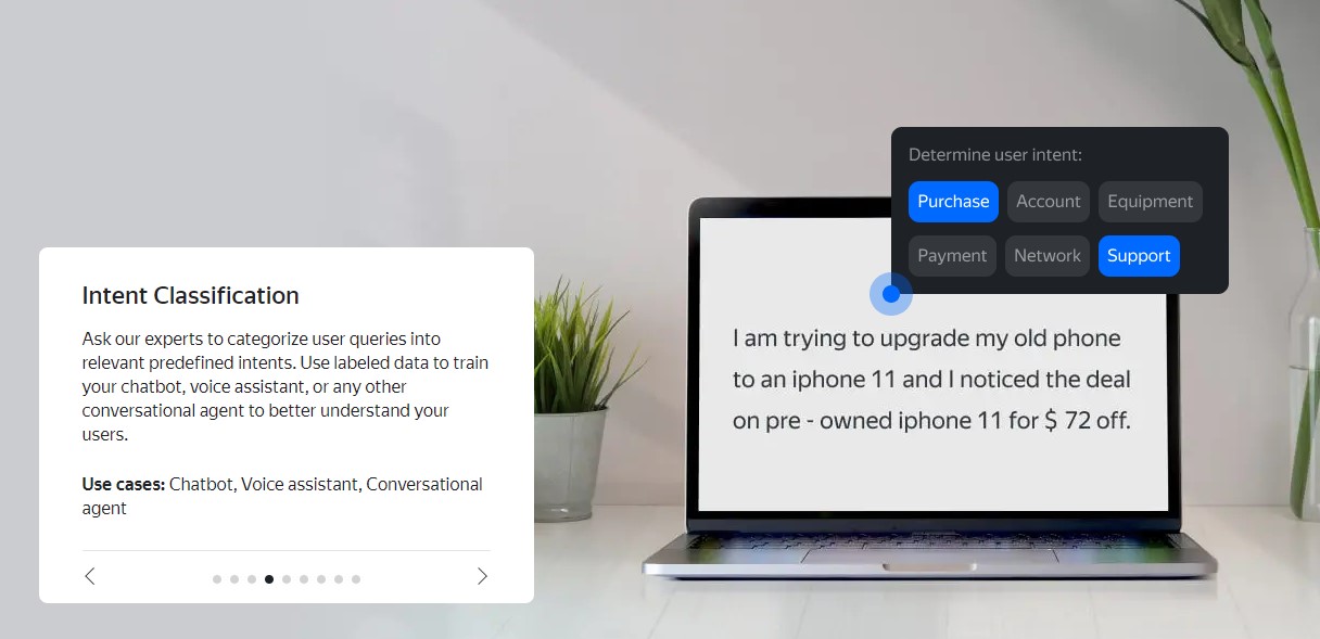 Data Tagging - Text Annotation as Service - aiixa