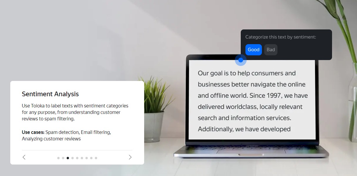 Data Tagging - Text Annotation as Service - aiixa